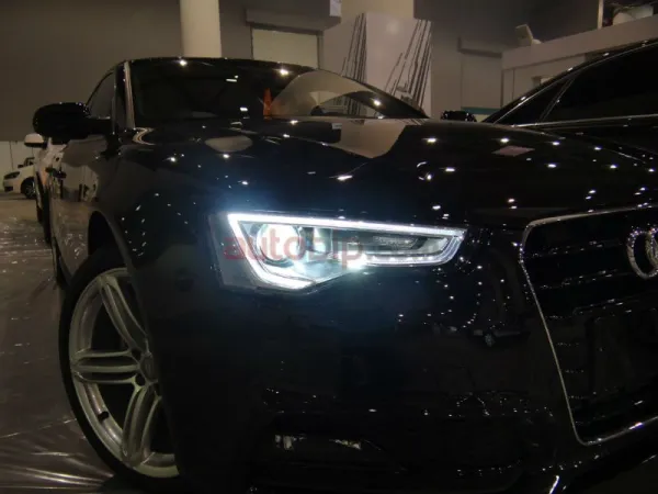 Autowest 2012 - Le stand le plus dynamique : Planete auto